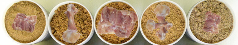 Frischfleisch im TroFu oder Trockenpflanzen im NaFu – wie groß ist der ...